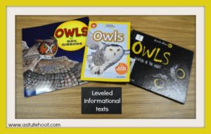 Informational Text is a Hoot! – Astute Hoot