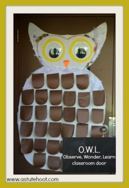 Informational Text is a Hoot! – Astute Hoot