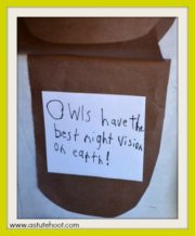 Informational Text is a Hoot! – Astute Hoot