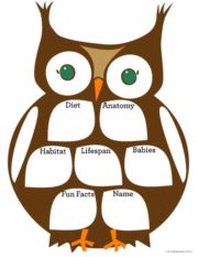Informational Text is a Hoot! – Astute Hoot