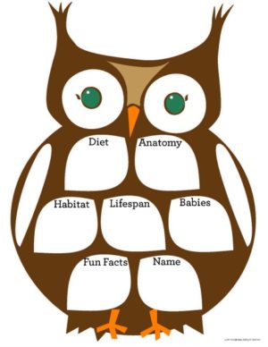 Informational Text is a Hoot! – Astute Hoot