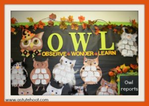 Informational Text is a Hoot! – Astute Hoot