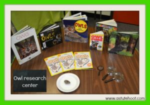 Informational Text is a Hoot! – Astute Hoot