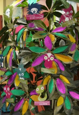 Set Up Your Best Classroom Yet – Astute Hoot