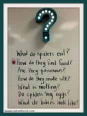 Scaffolding Text-Dependent Questions for Struggling Readers – Astute Hoot
