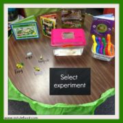 5 Tips to Survive Science Fair – Astute Hoot