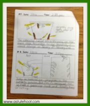 5 Tips to Survive Science Fair – Astute Hoot