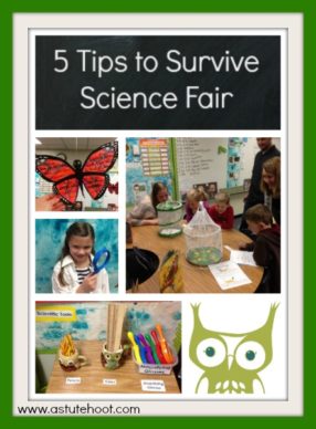 5 Tips to Survive Science Fair – Astute Hoot