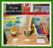 5 Tips to Survive Science Fair – Astute Hoot